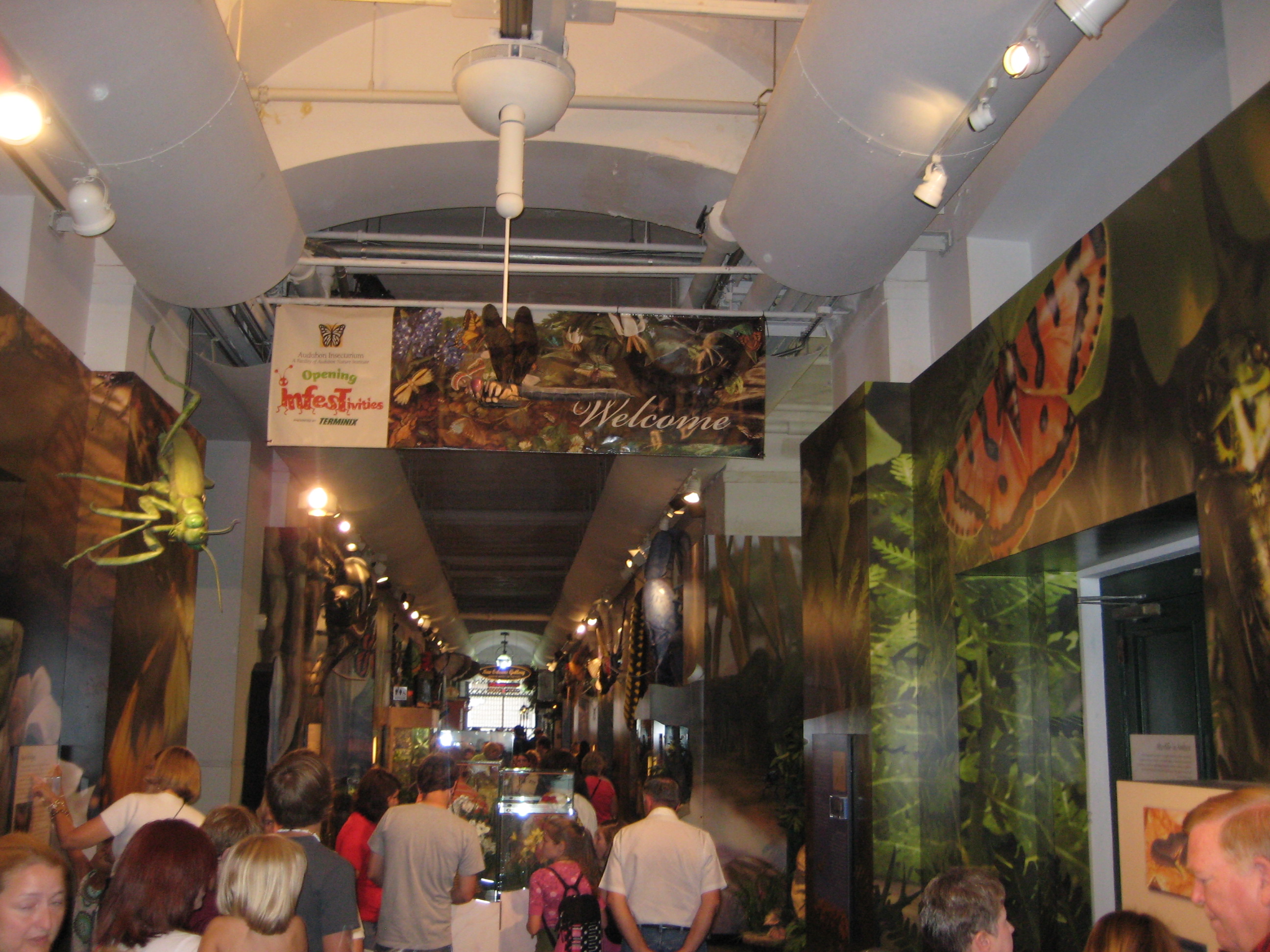 Audubon Insectarium | BEYONDbones