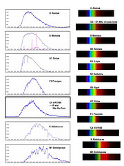 Electromagnetic Spectrum | BEYONDbones