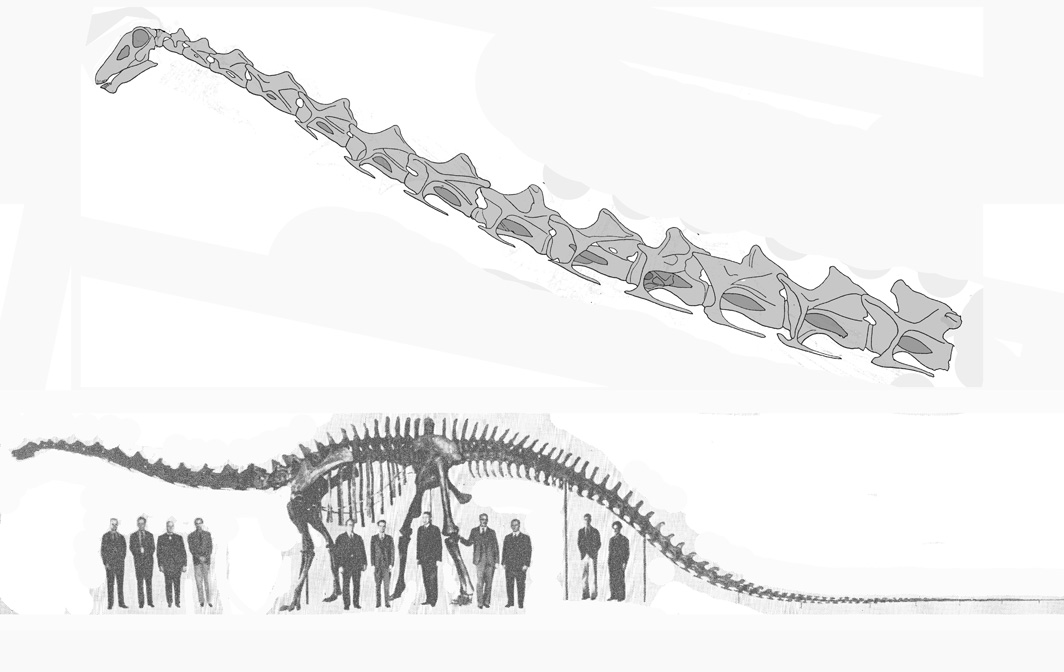 A Q&A to the Diplodocus degree: HMNS skeletons still inspire after 110 ...