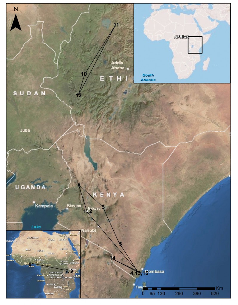We’d like to introduce you to the four new species of African house ...