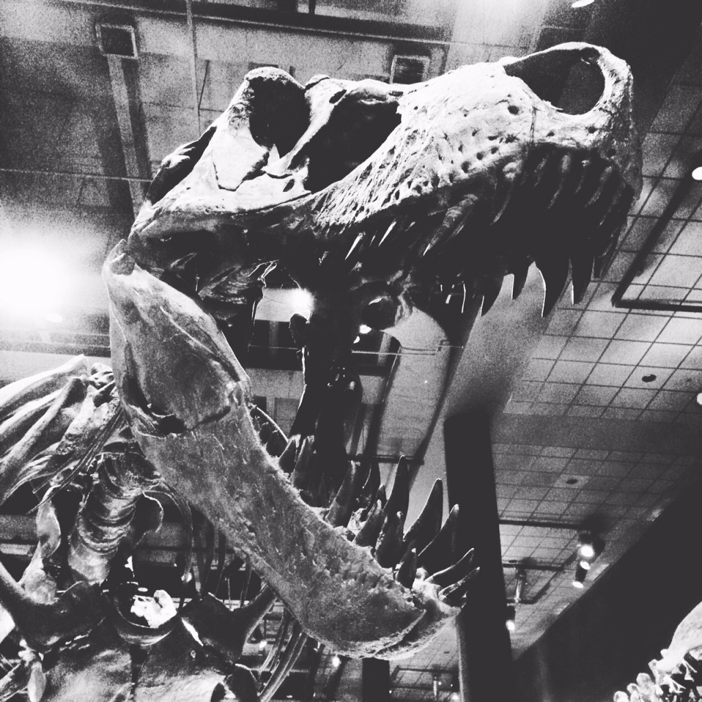 Top 10 Most Popular Instagram Skeletons | BEYONDbones