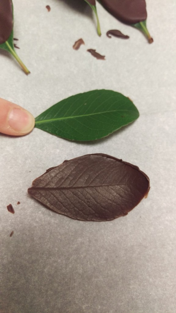 Holiday How-to: Chocolate Leaves | BEYONDbones