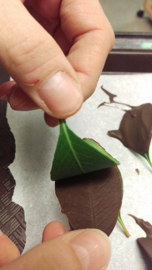 Holiday How-to: Chocolate Leaves | BEYONDbones