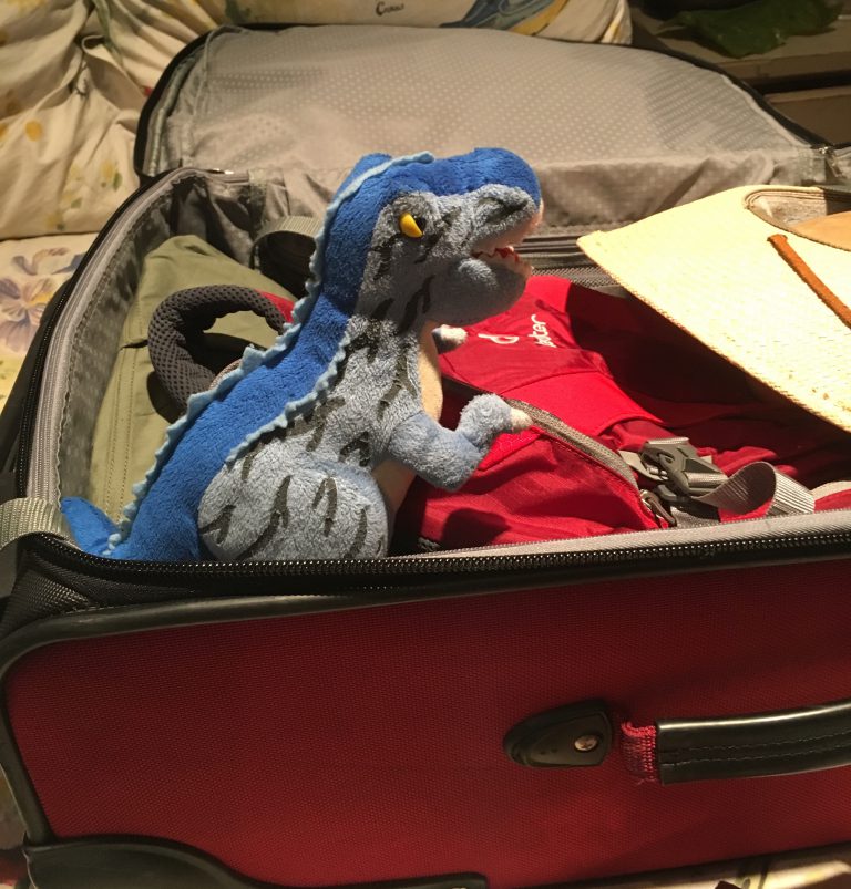 The Adventures of Archie the Traveling T. Rex: Big Bend National Park ...