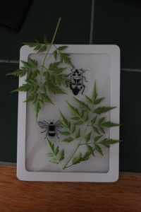 Have Science Fun in the Summer Sun with a Solar Print Kit! | BEYONDbones