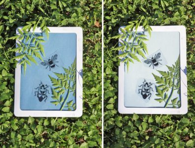 Have Science Fun in the Summer Sun with a Solar Print Kit! | BEYONDbones