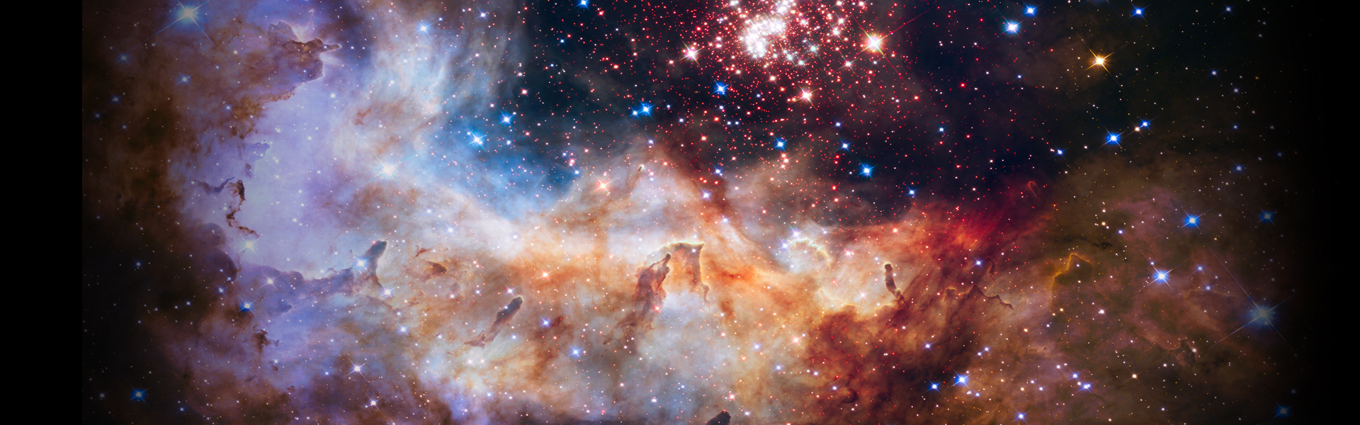 HMNS Happenings This Week | BEYONDbones