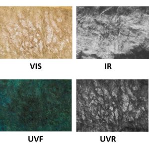 Imaging the Codex Xolotl and Mapa Quinatzin | BEYONDbones