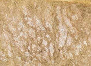 Imaging the Codex Xolotl and Mapa Quinatzin | BEYONDbones