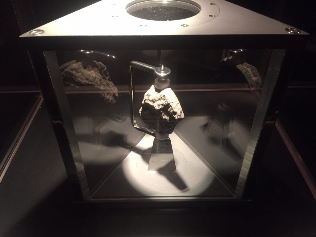 5 Of The Rarest Objects On Display At HMNS | BEYONDbones