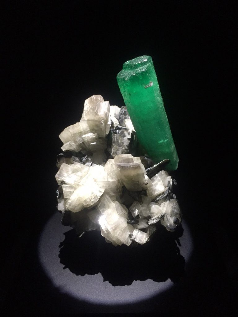 5 Of The Rarest Objects On Display At HMNS | BEYONDbones