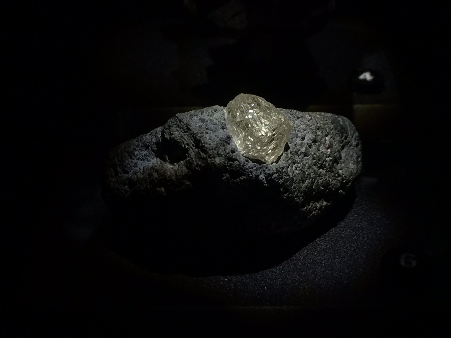 The Fox And The Diamond, A Gem of A Story | BEYONDbones