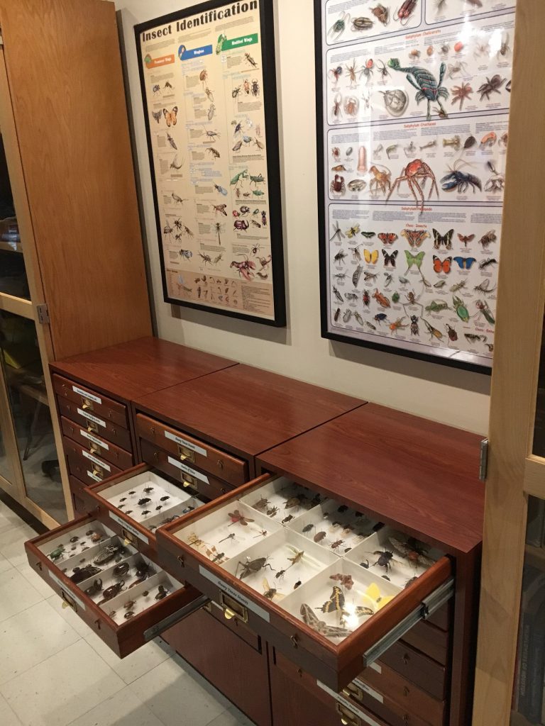 We Don’t Mean To Bug You, But We Have To Tell You About Our Awesome ...