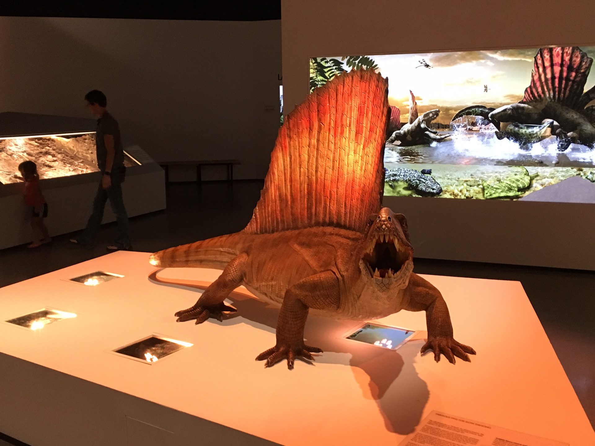 What Is A Dinosaur? A Discussion Of Ancient Family Trees And Dino ...