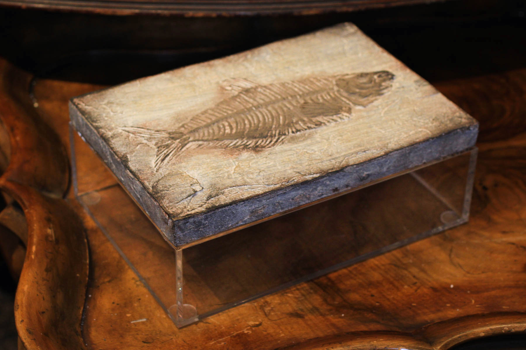 6 Tips For Museum Inspired Fall Decorating From Our Cabinet Of ...