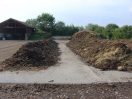 Composting: What, Why, Where And How? | BEYONDbones