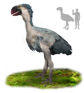 Diatryma: The Last Gasp of Dinosaur Rule In North America | BEYONDbones