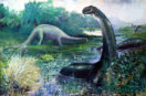 What Is The Deal With Brontosaurus?! | BEYONDbones