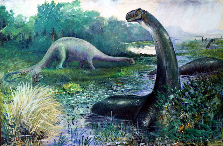 What Is The Deal With Brontosaurus?! | BEYONDbones