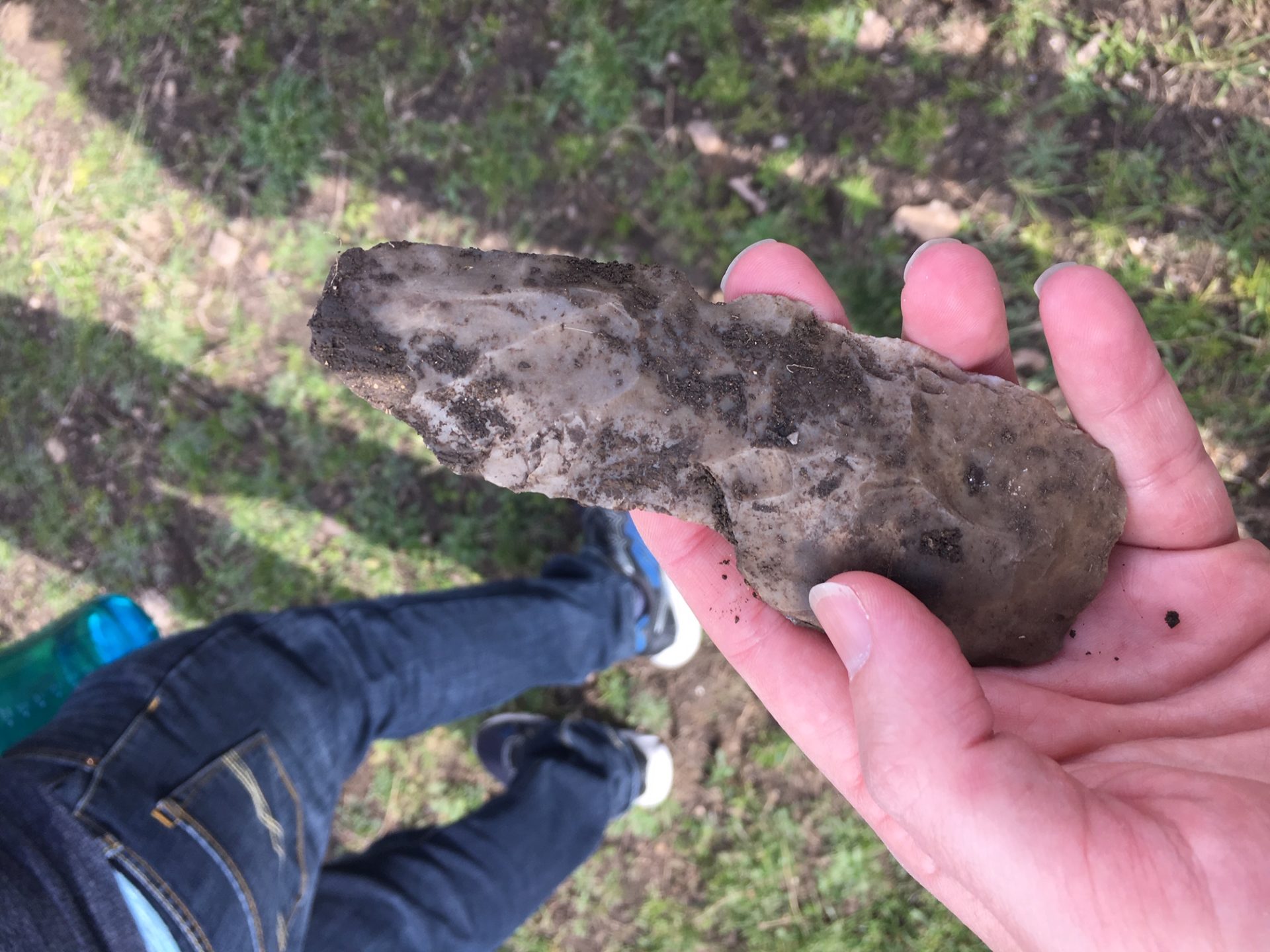 Our Discovery Guides Have A Mammoth Time At The Gault Site | BEYONDbones