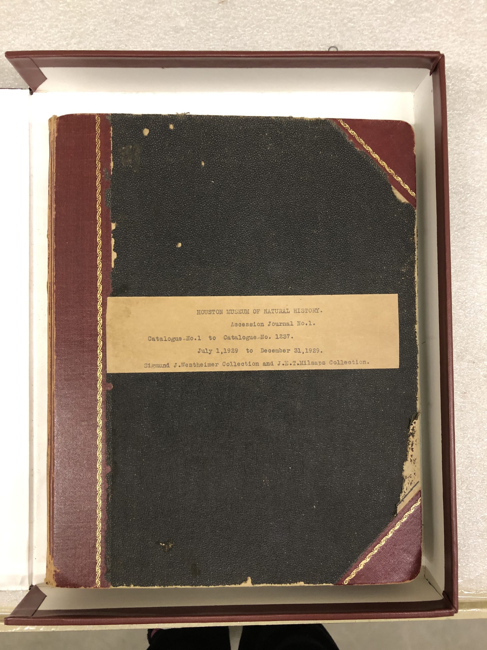 Useful Today, Useful Tomorrow: Record Keeping with HMNS Collections ...