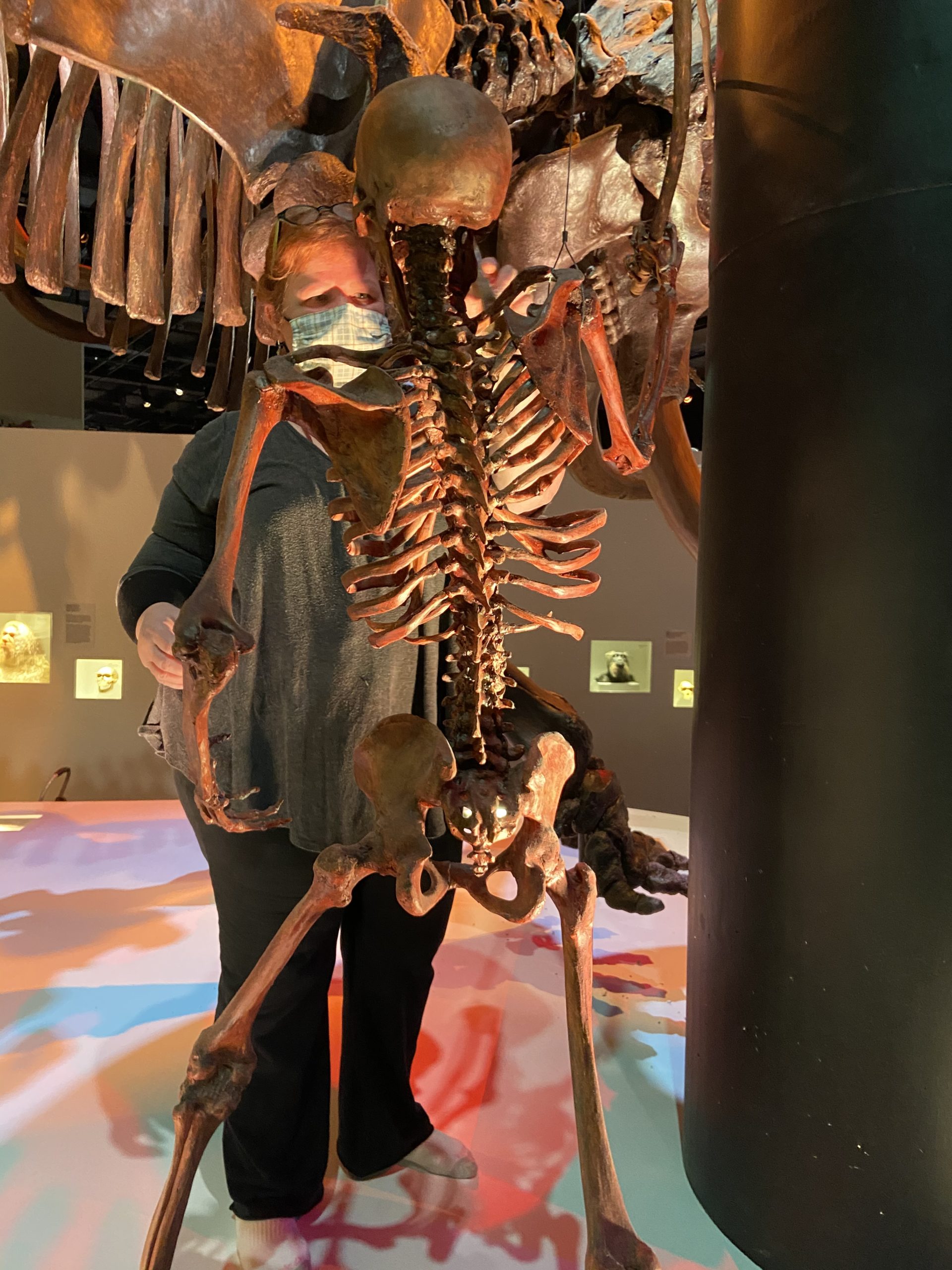 The Collections Team on the Road to Reopening | BEYONDbones