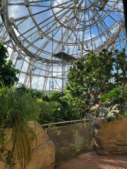 Cockrell Butterfly Center Emerges this Spring | BEYONDbones