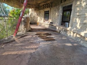 Cockrell Butterfly Center Emerges this Spring | BEYONDbones